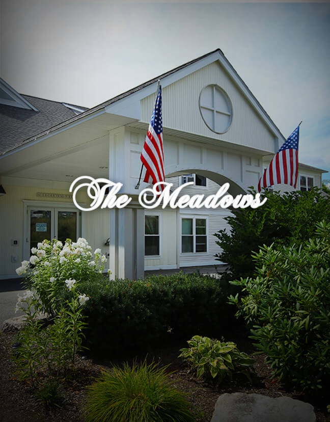 The Meadows - Ebrochure